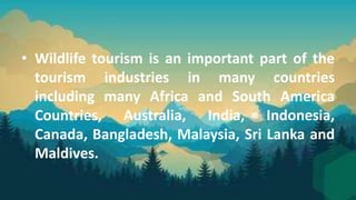 Landscapes and Wildlife Resources for Tourism | PPTX