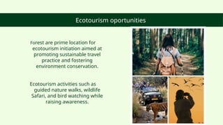 Wildlife tourism in forest and it's importance | PPTX