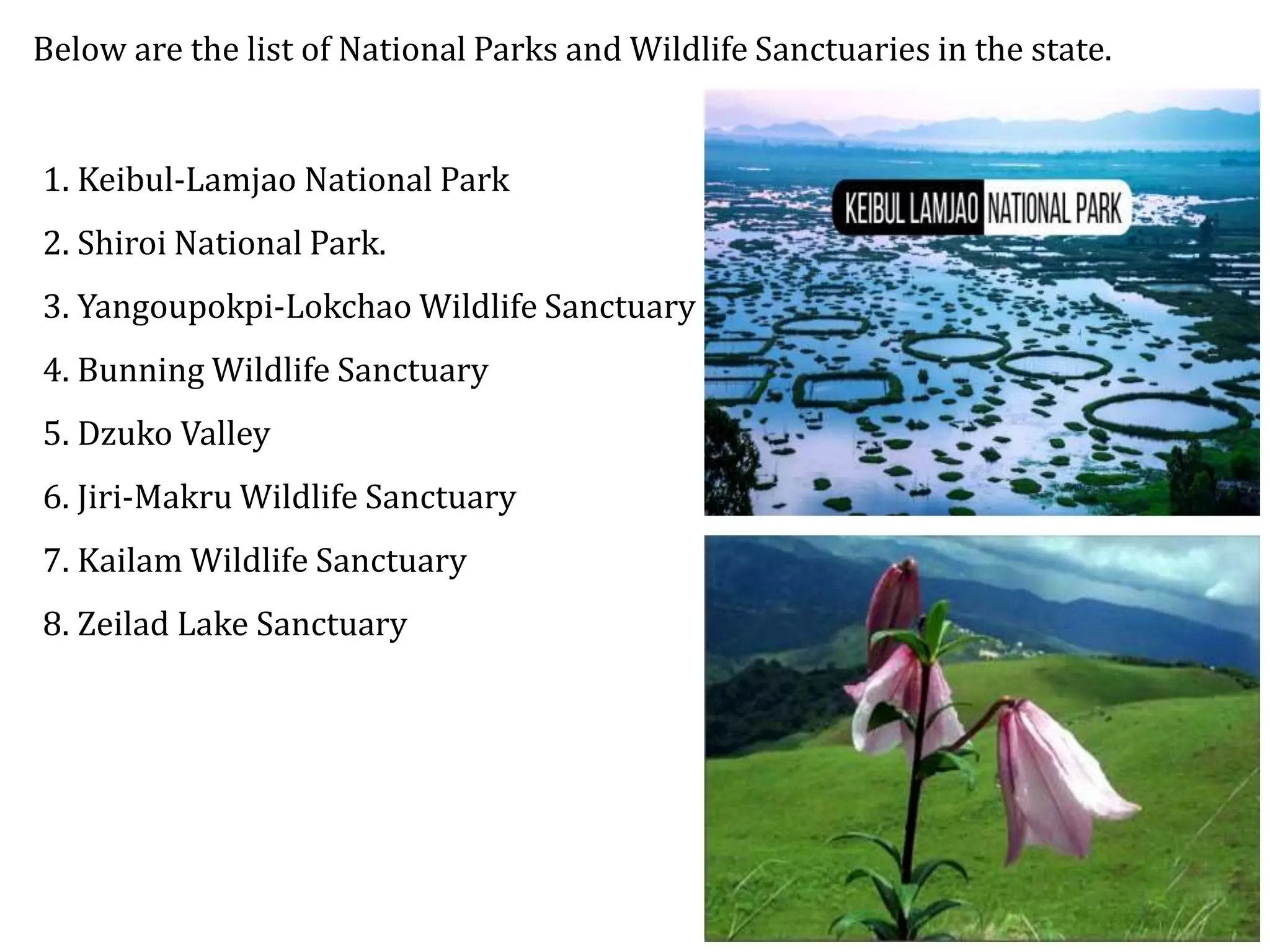 Wildlife tourism in north eastern regions of India | PPTX