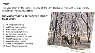 Wildlife tourism in rajasthan new | PPTX