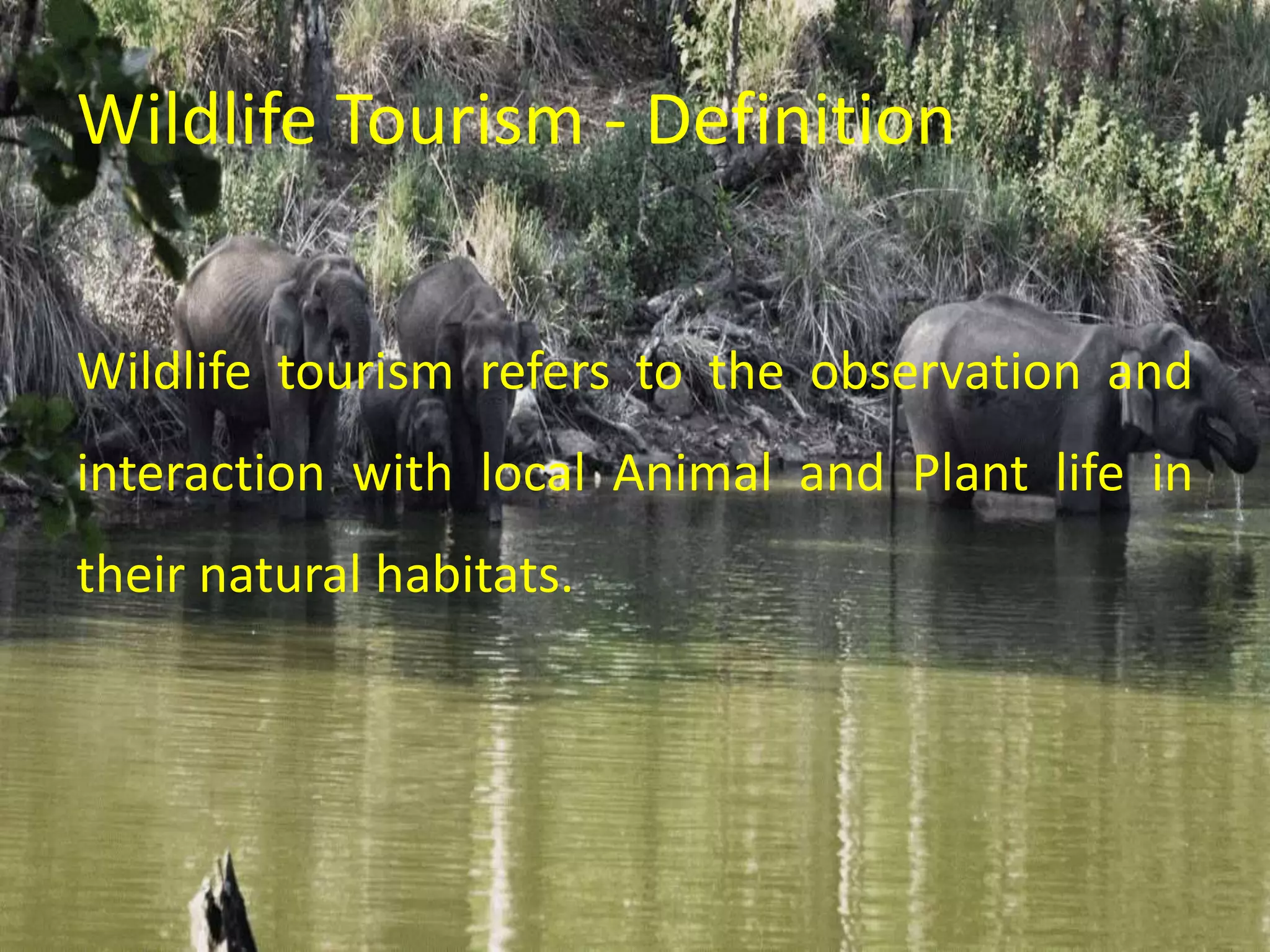 Wildlife tourism prospects and scope in india | PPTX