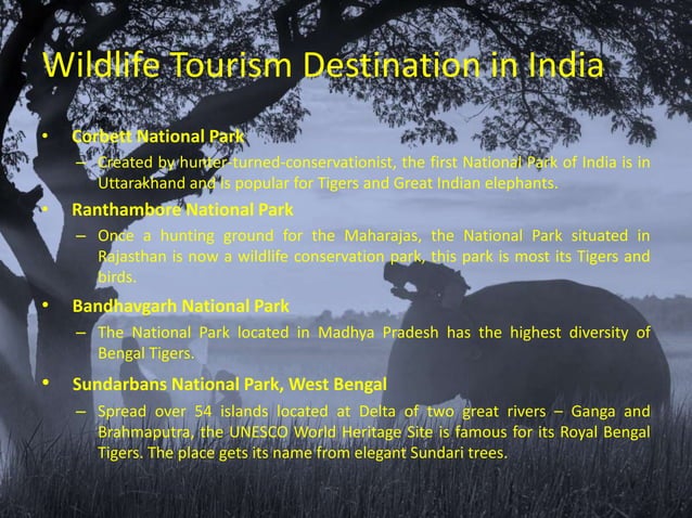Wildlife tourism prospects and scope in india | PPTX | Asia Travel ...