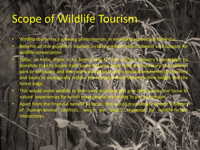 Wildlife tourism prospects and scope in india | PPTX | Asia Travel ...