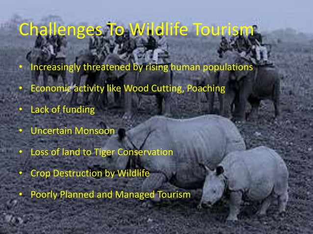 Wildlife tourism prospects and scope in india | PPTX | Asia Travel ...