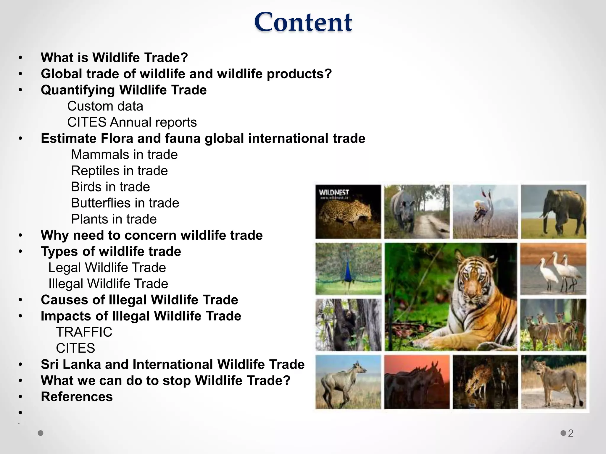 Wildlife trade Presentation;UOR,Faculty Of Agriculture,Mapalana | PPTX