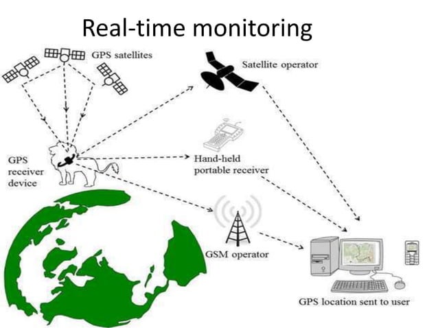 globel positioning system (GPS) in Wildlife | PPT