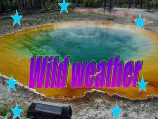 Wild Weather | PPT