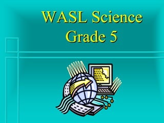 Wildwood Grade 5 Wasl 2009 | PPT