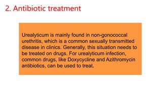 Will a positive ureaplasma urealyticum cause female infertility? | PDF ...
