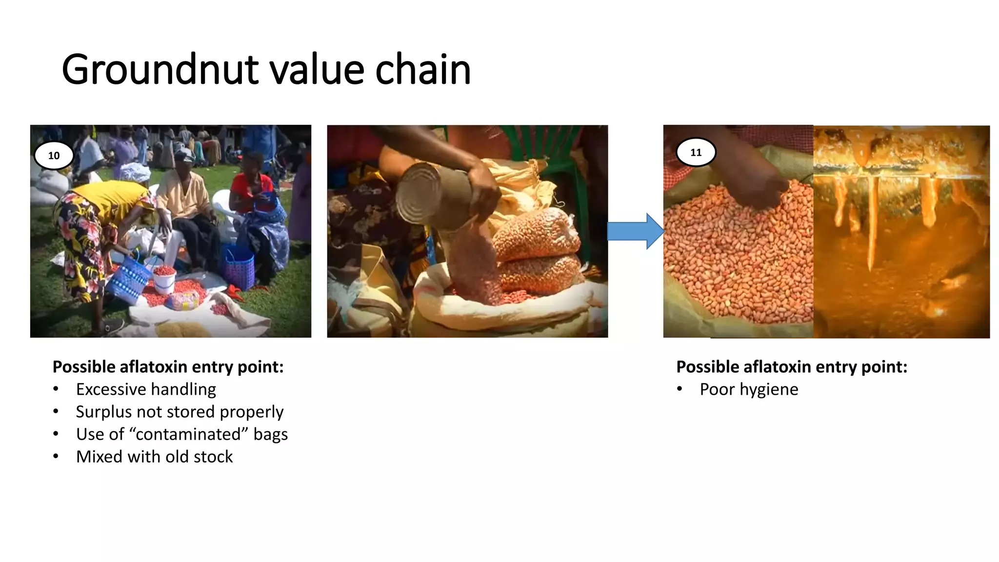 Groundnut aflatoxin exposure and the food safety policy environment ...