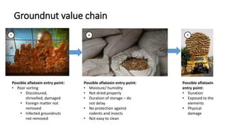 Groundnut aflatoxin exposure and the food safety policy environment ...