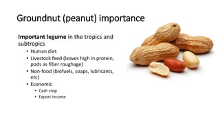 Groundnut aflatoxin exposure and the food safety policy environment ...