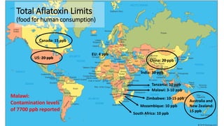 Groundnut aflatoxin exposure and the food safety policy environment ...