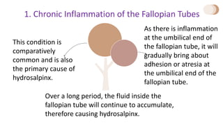 Will Hydrosalpinx Disappear By Itself.pptx