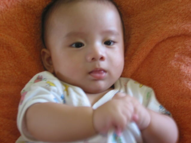 William Tan De Jun 2008 | PPS