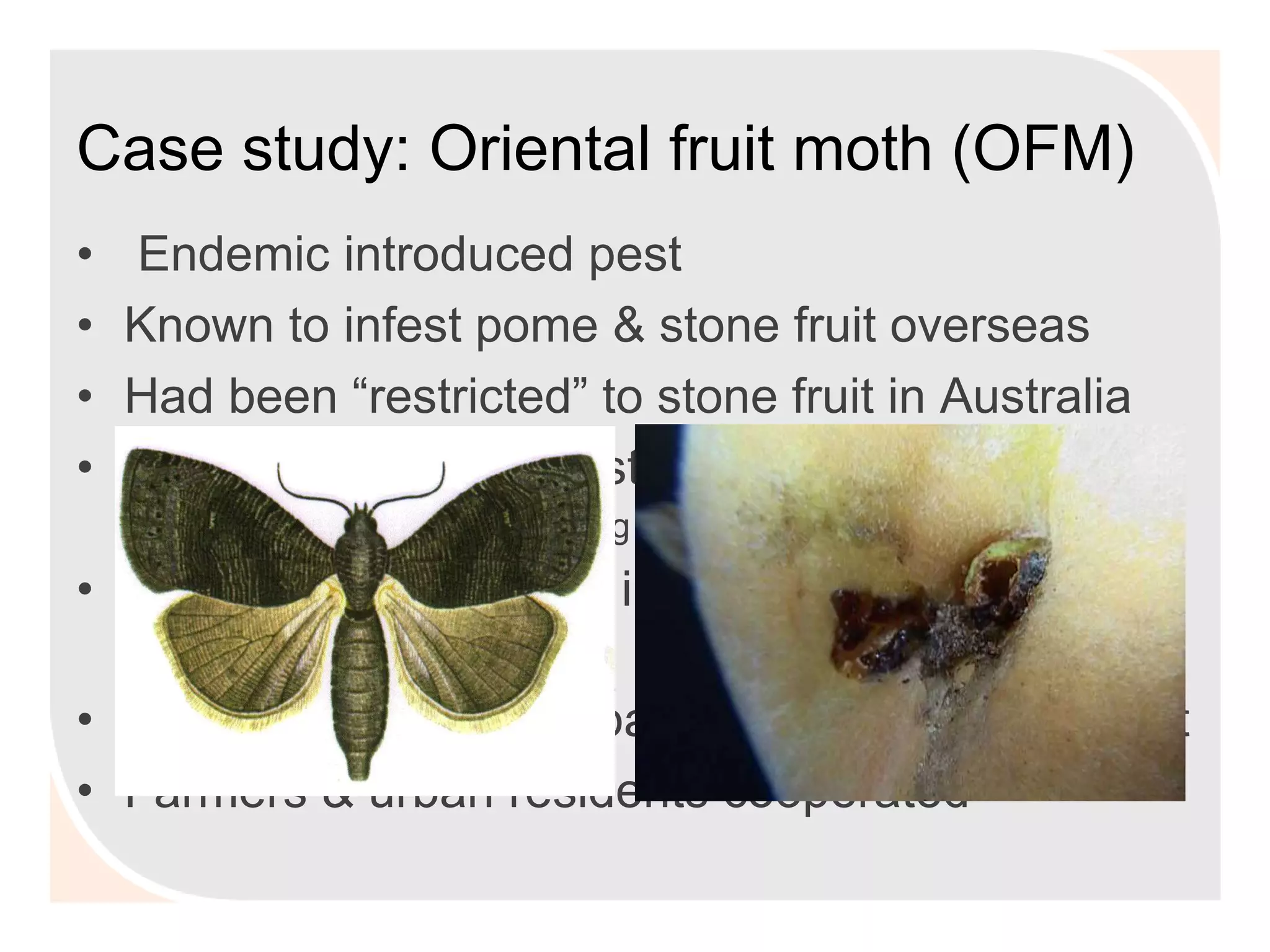 Williams_D_Peri-Urban environments: the x factor for plant pests and ...