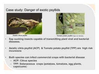 Williams_D_Peri-Urban environments: the x factor for plant pests and ...