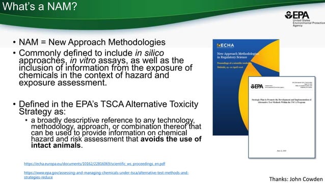 New Approach Methods - What is That? | PPTX | Chemistry | Science
