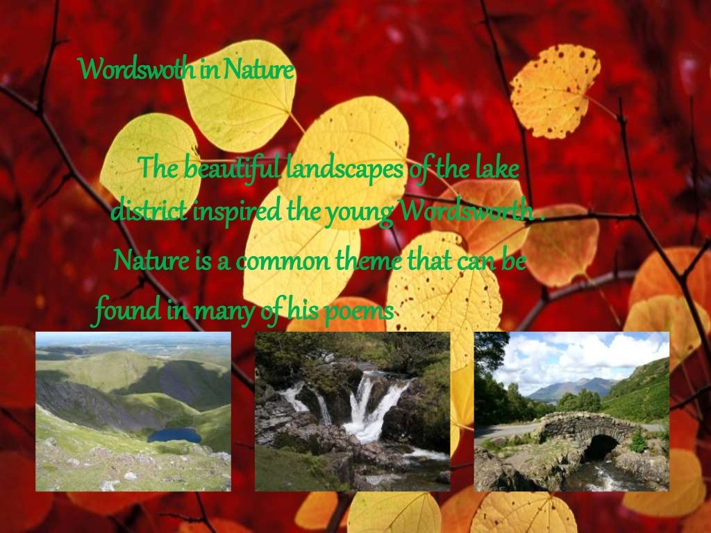 William wordsworth - the nature's poet
