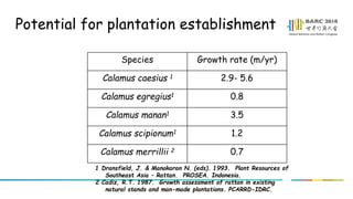 Willie P. Abasolo_Rattan Quality-Control the Case of the Philippines | PPT