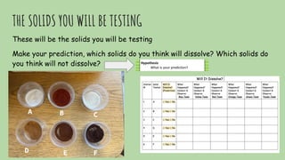 "Exploring Solubility: Will It Dissolve?" | PDF