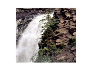 Willmore Wilderness Park.Ppt