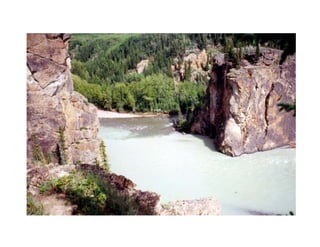 Willmore Wilderness Park.Ppt | Parks | Attractions