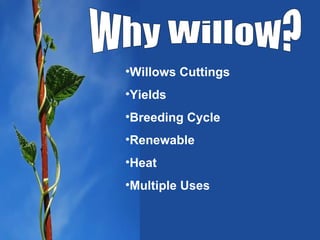 Willow Bio Energy | PPT
