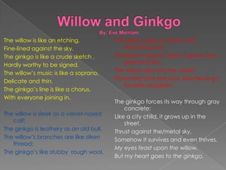 Willow and Ginkgo | PPTX