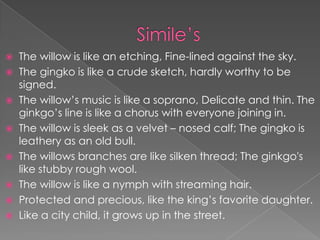 Willow and Ginkgo | PPTX