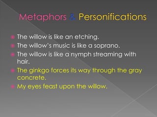 Willow and Ginkgo | PPT