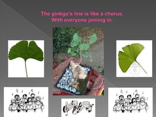 Willow and Ginkgo | PPTX