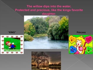 Willow and Ginkgo | PPTX