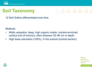 Black Soils: Mollisoils in the USA - Skye Wills and Paul Reich | PDF