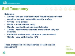 Black Soils: Mollisoils in the USA - Skye Wills and Paul Reich | PDF