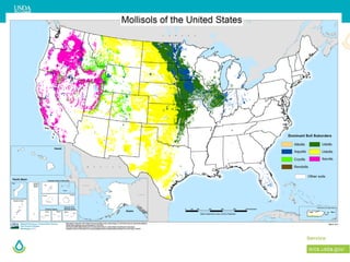 Black Soils: Mollisoils in the USA - Skye Wills and Paul Reich | PDF