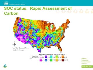 Black Soils: Mollisoils in the USA - Skye Wills and Paul Reich | PDF