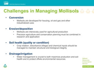 Black Soils: Mollisoils in the USA - Skye Wills and Paul Reich | PDF