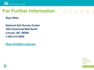 Black Soils: Mollisoils in the USA - Skye Wills and Paul Reich | PDF