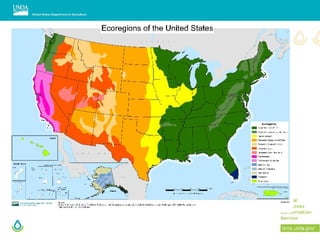 Black Soils: Mollisoils in the USA - Skye Wills and Paul Reich | PDF