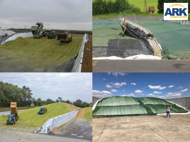 Will Wilson (ARK) Managing silage clamps | PPT