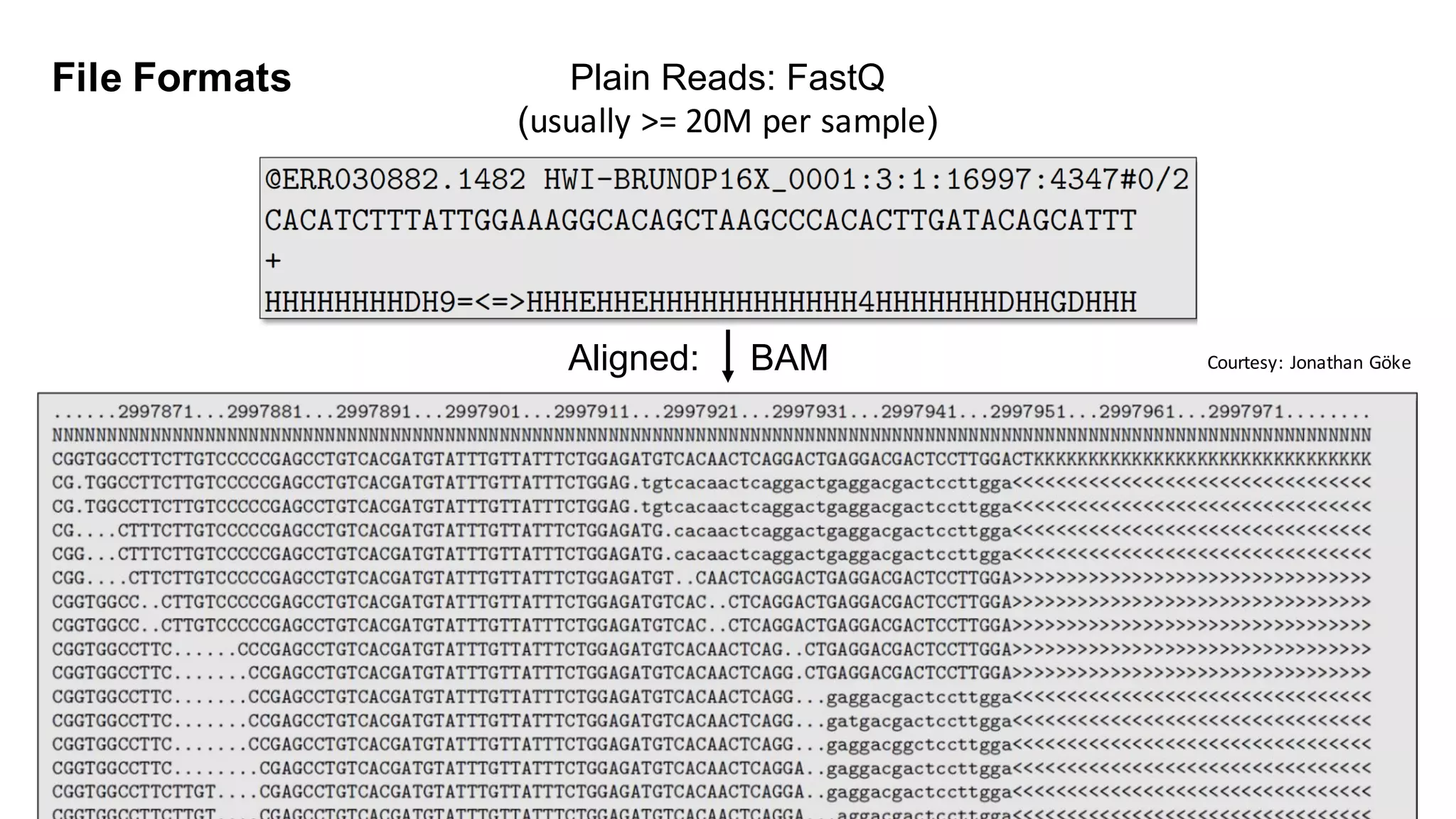 Getting Started with RNA-Seq Data Analysis | PPT
