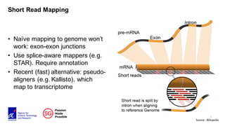 Getting Started with RNA-Seq Data Analysis | PPT