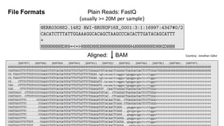 Getting Started with RNA-Seq Data Analysis | PPT
