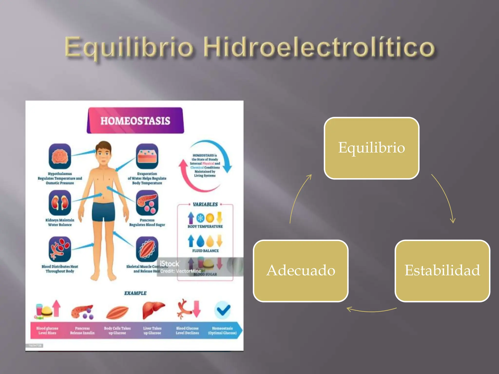 Equilibrio hidroelectrolítico y ácido base | PPTX