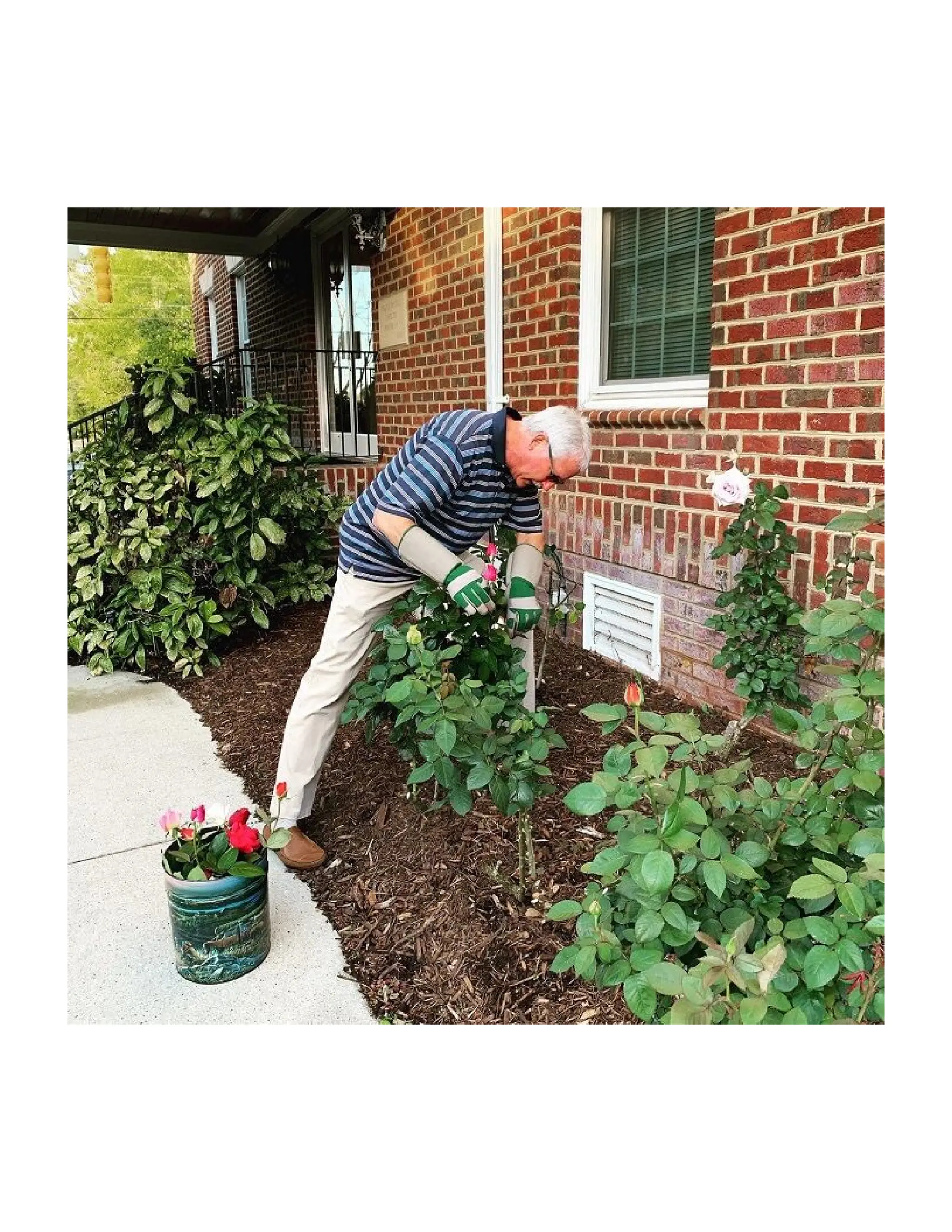 Wilmington dentist Dr. James Gainer loves gardening at Wrightsville ...