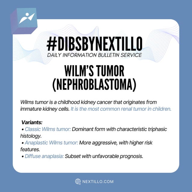Wilm’s tumor (nephroblastoma) | DIBS by Nextillo | PDF