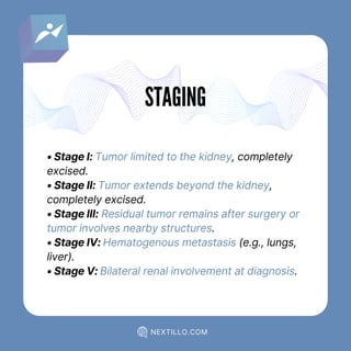 Wilm’s tumor (nephroblastoma) | DIBS by Nextillo | PDF