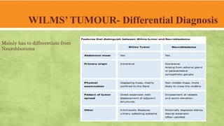Wilms' tumour-- Pediatric Surgery | PPTX