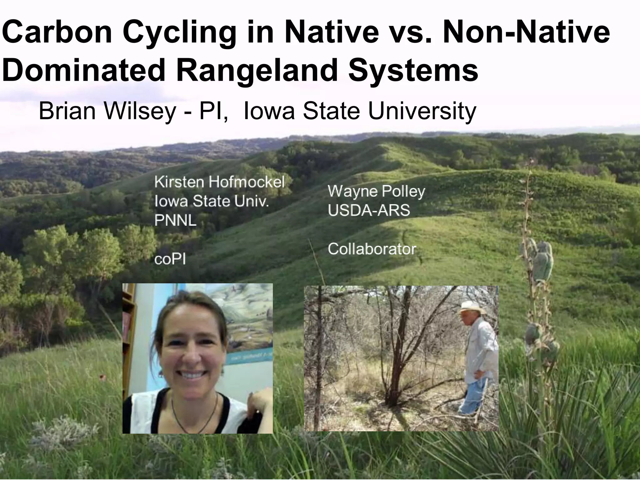 Carbon Cycling in Native vs. Non-Native Dominated Rangeland Systems | PPT